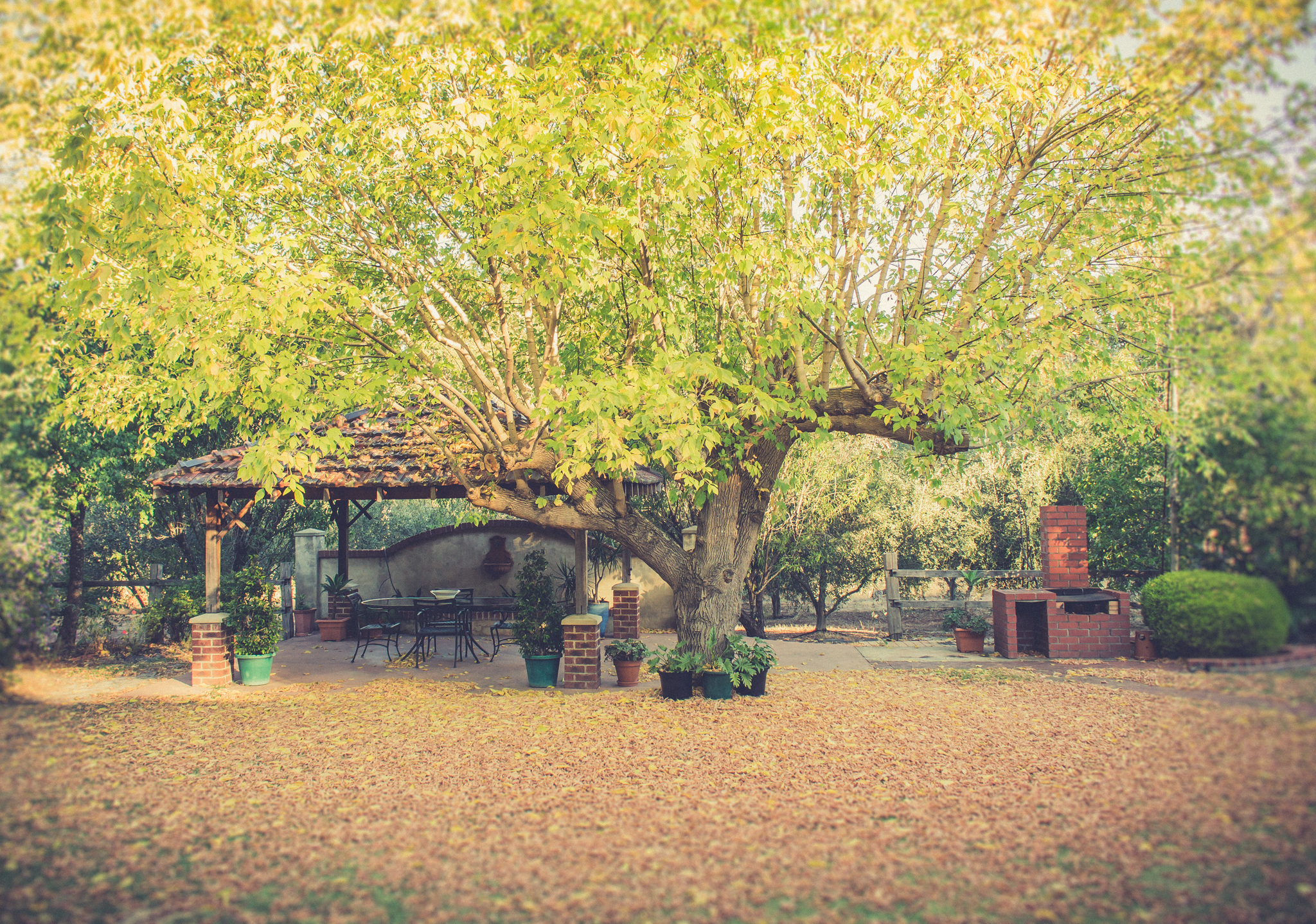 About Mandia – Mandia Cottage and Bed and Breakfast